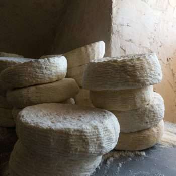 From Soft to Hard: A Goat Cheese Journey for Your Next Happy Hour